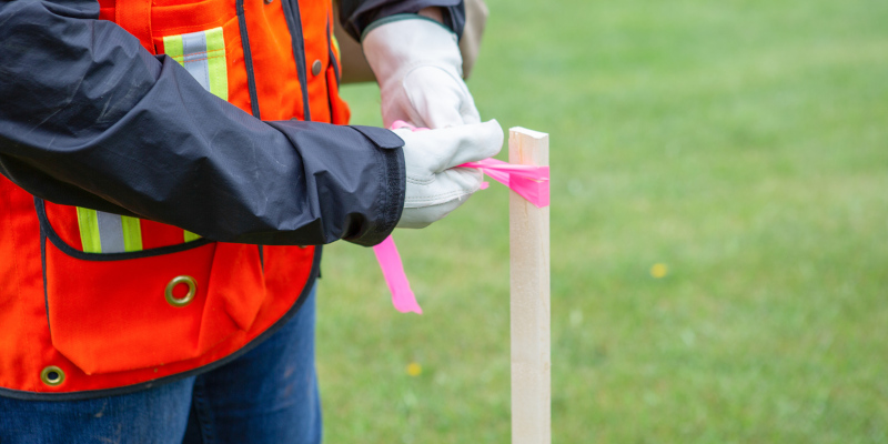 What Does the Boundary Survey Process Look Like? [infographic ...